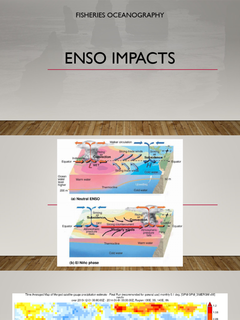 Effect of Enso | PDF