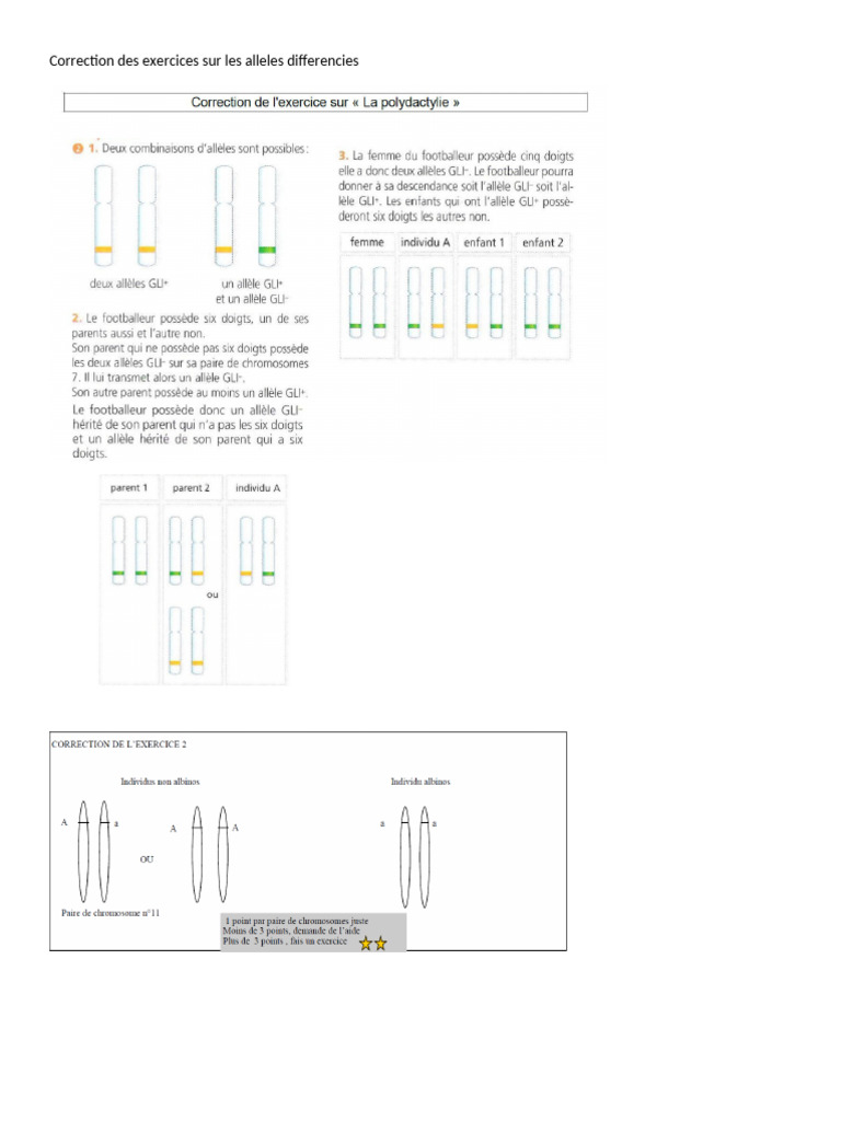Correction Des Exercices Sur Les Alleles Differencies | PDF