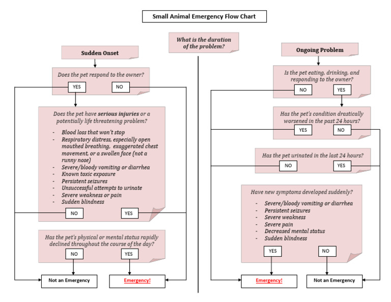Phone Triage Flowchart | PDF