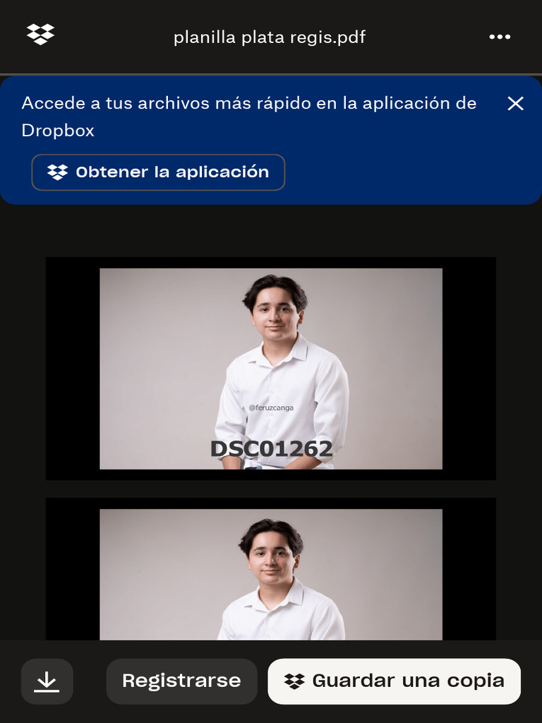 Planilla Plata Regis PDF | PDF