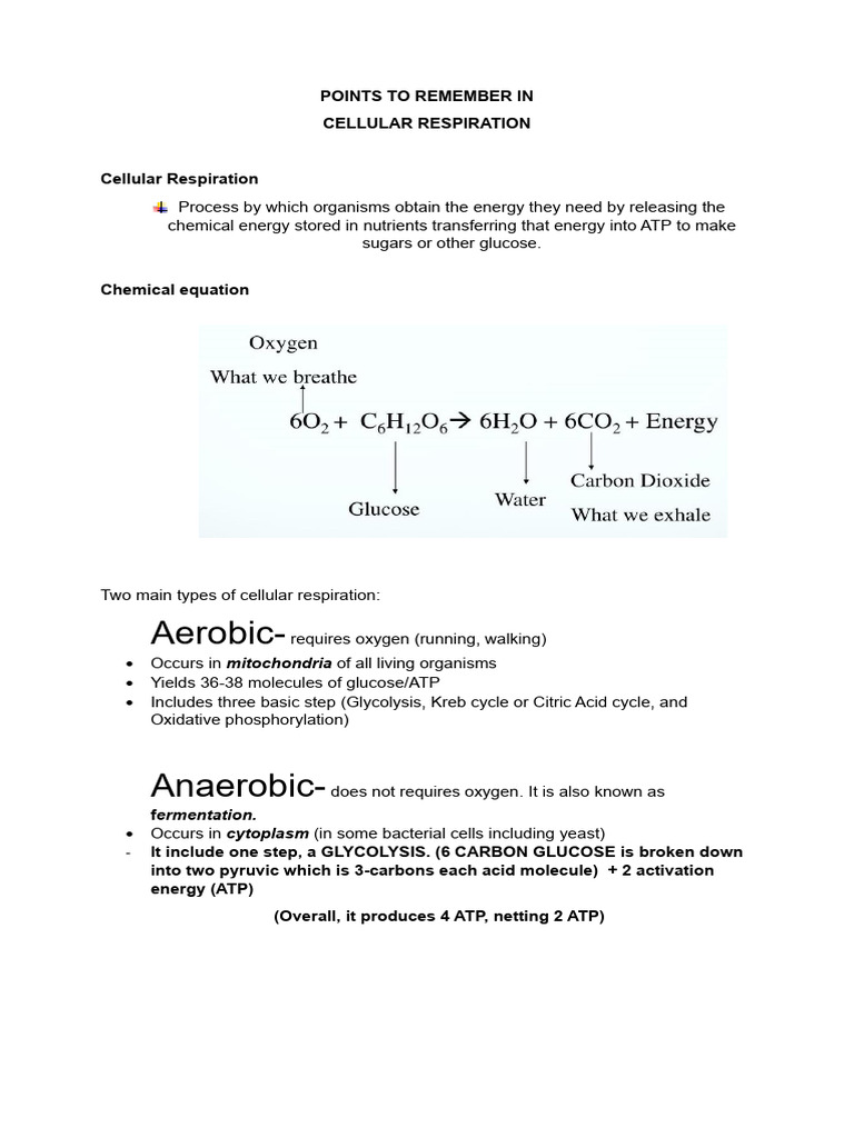 Cellular Respiration Overview and Processes | PDF | Cellular ...