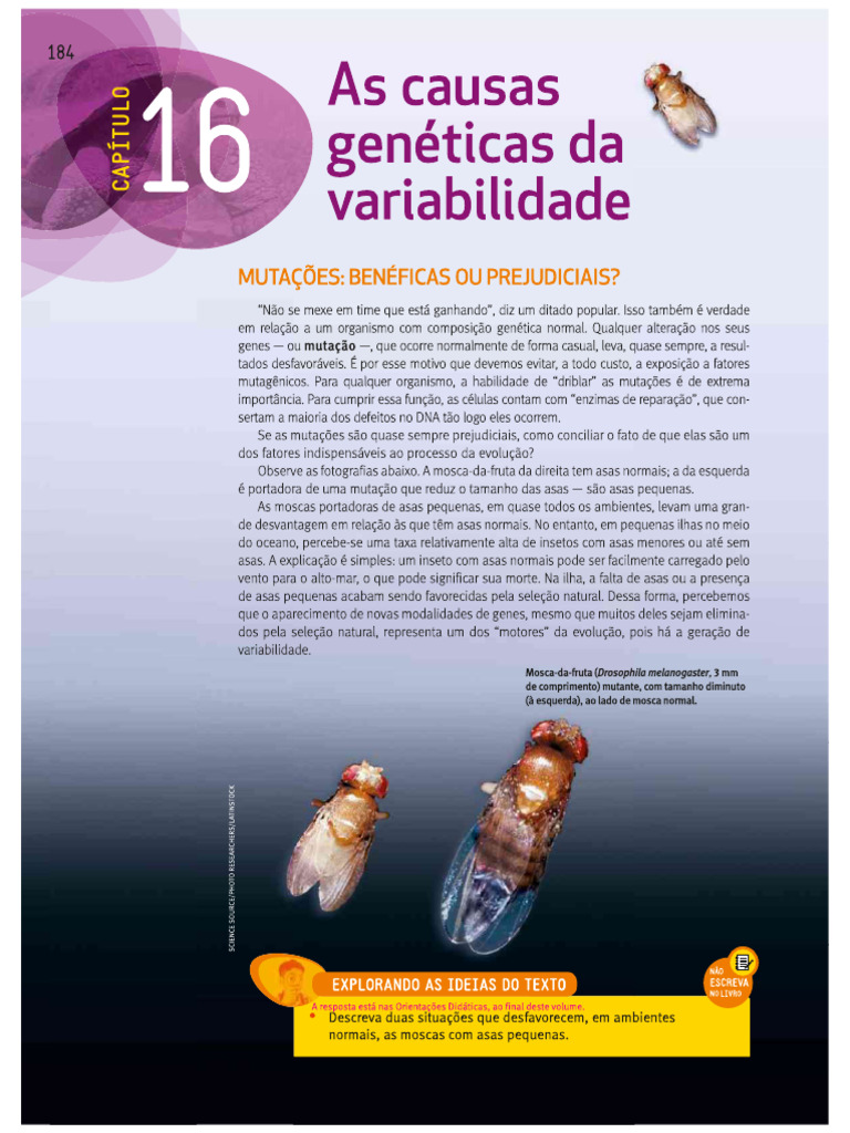 Variabilidade Genetica Pdf