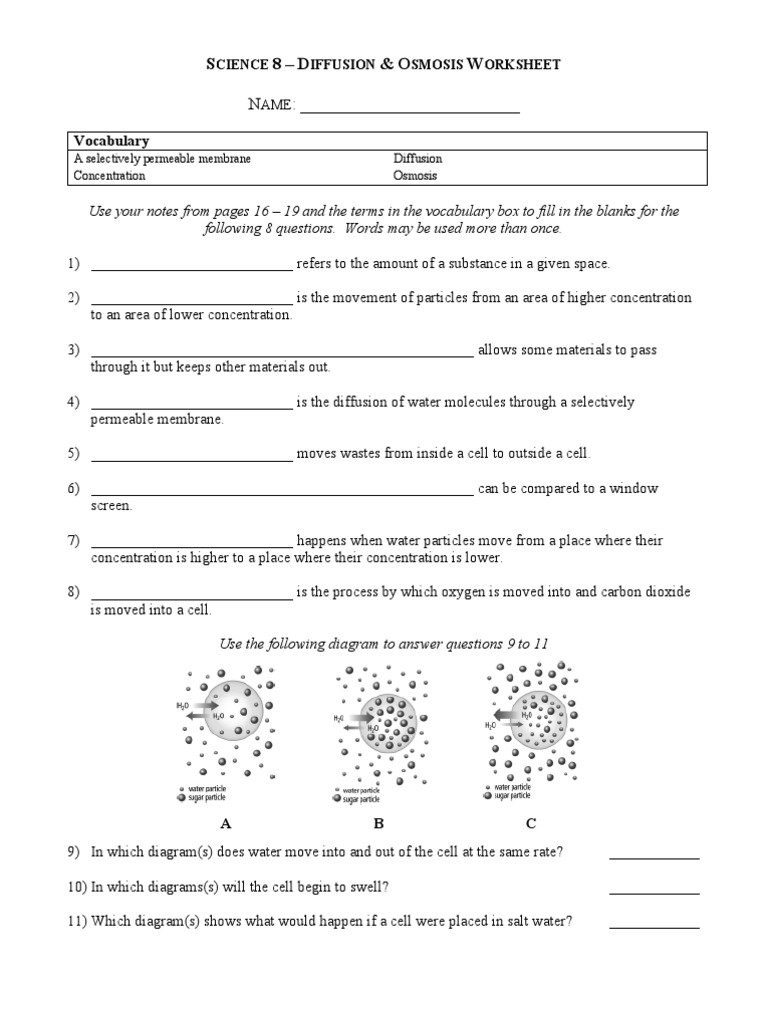 Diffusion Osmosis Worksheet 166kg27 | PDF