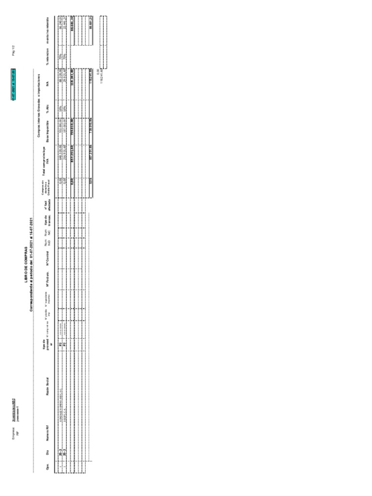 Modelo Libro Iva | PDF