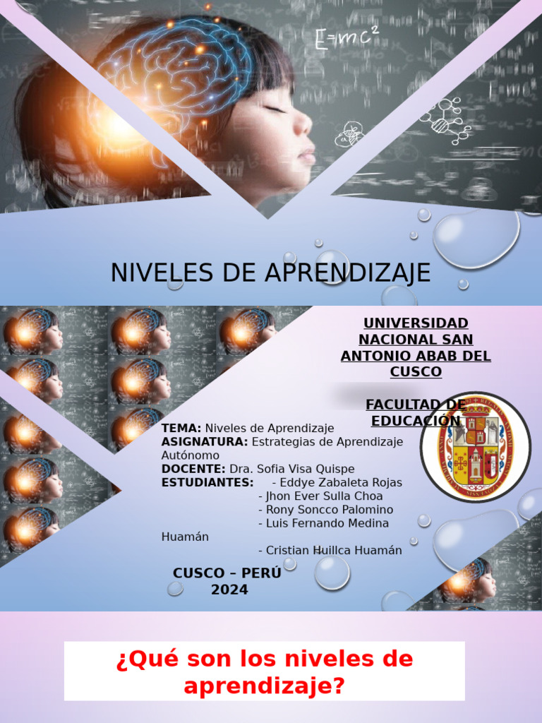 Niveles de Aprendizaje | PDF