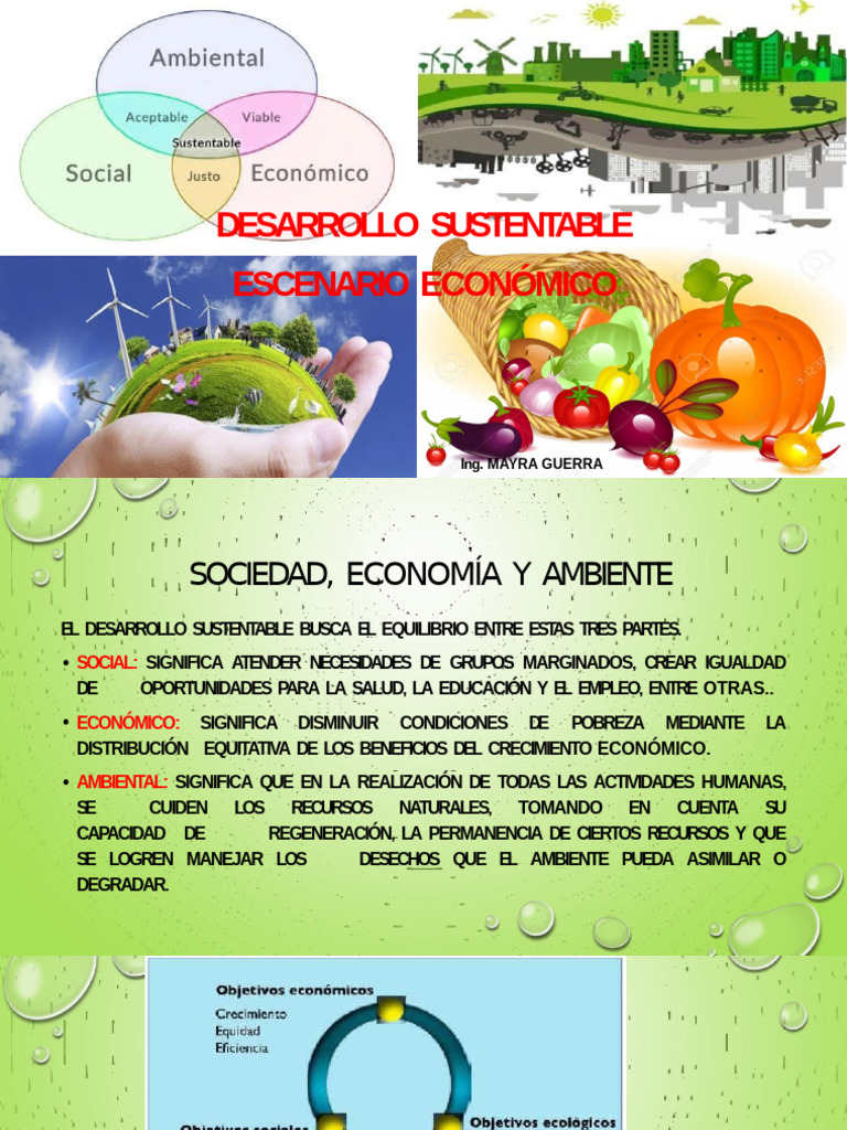 Desarrollo Sustentable Pdf