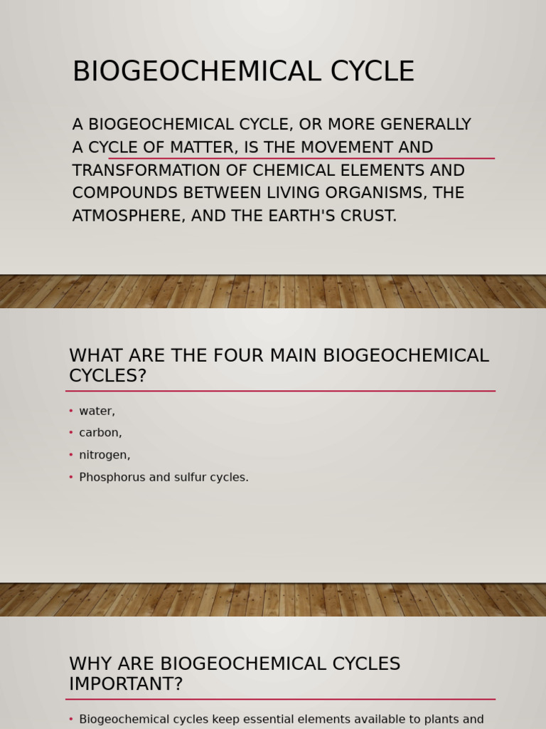 Biochemical Cycles | PDF | Science & Mathematics