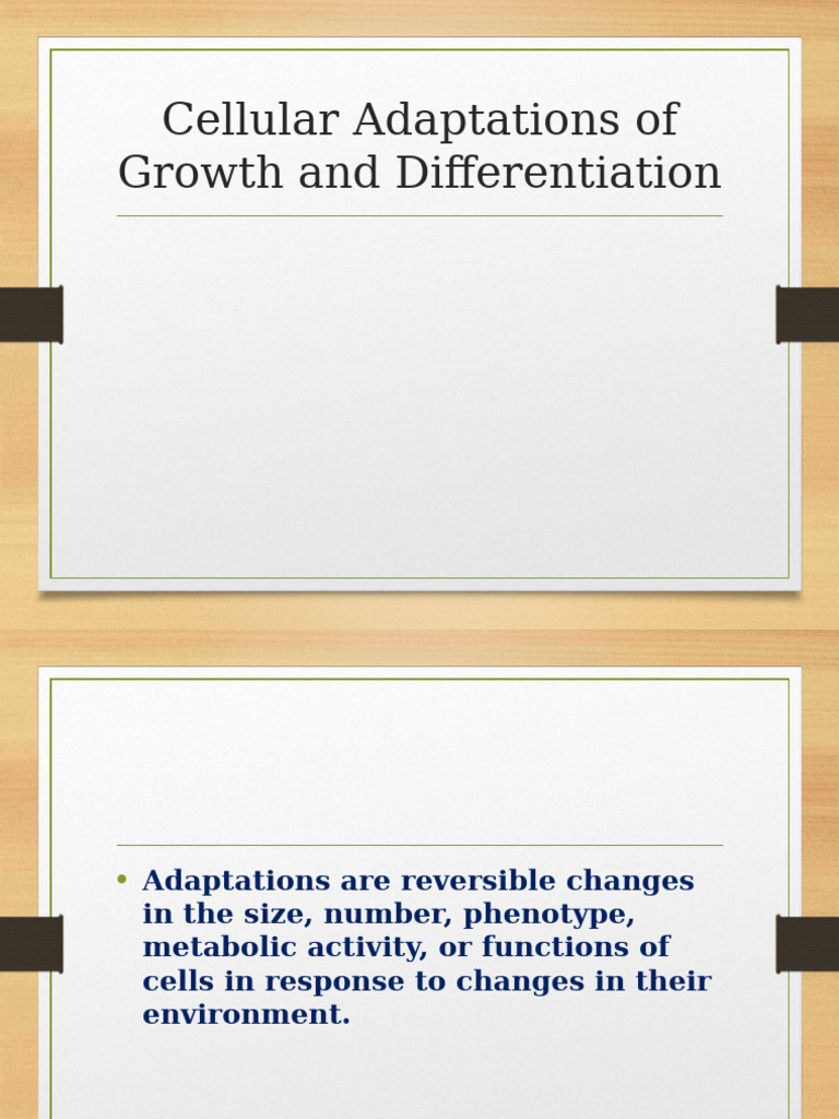 L8 Cellular Adaptation | PDF