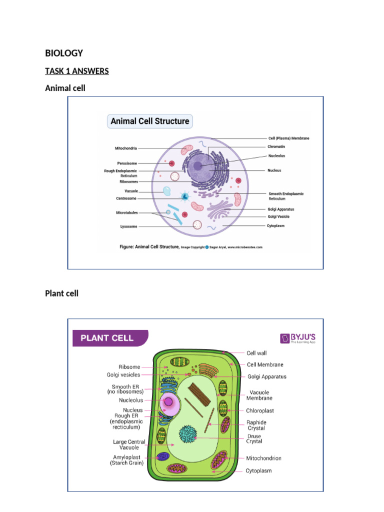 Y9 Skills Worksheet Answers | PDF