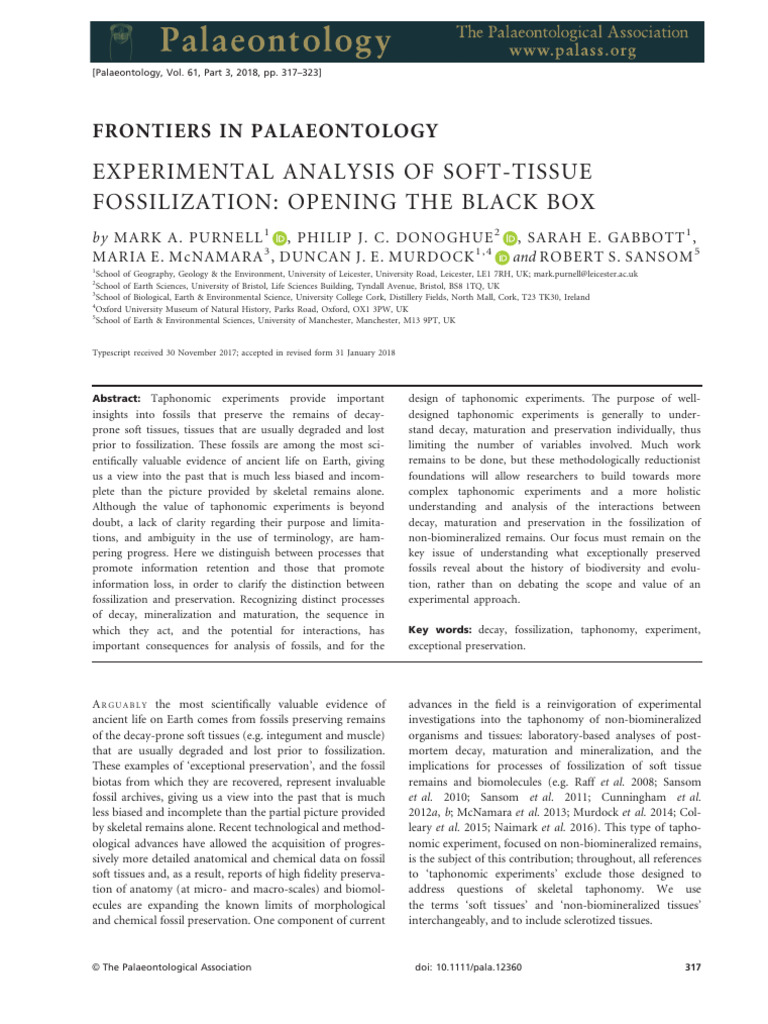 Experimental Analysis of Soft Tissue Fos | PDF | Decomposition | Fossil
