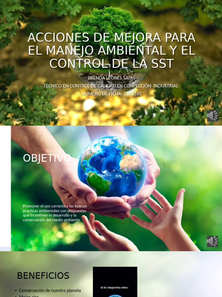 Acciones de Mejora para El Manejo Ambiental y El Control de La SST | PDF