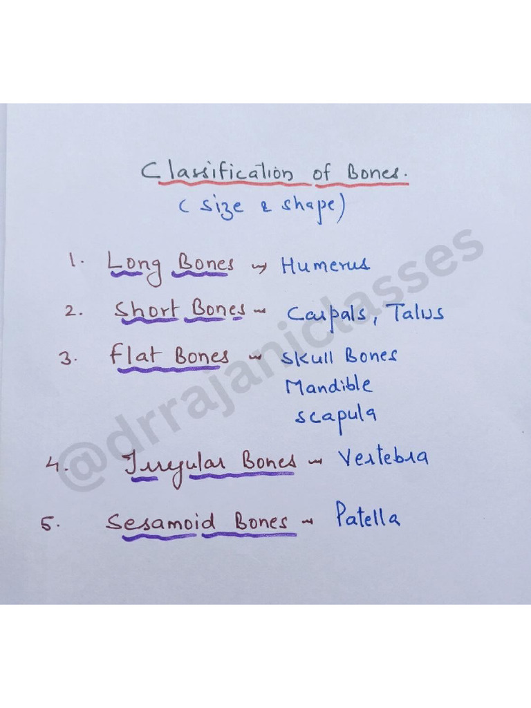 Classification of Bones Compressed Low | PDF
