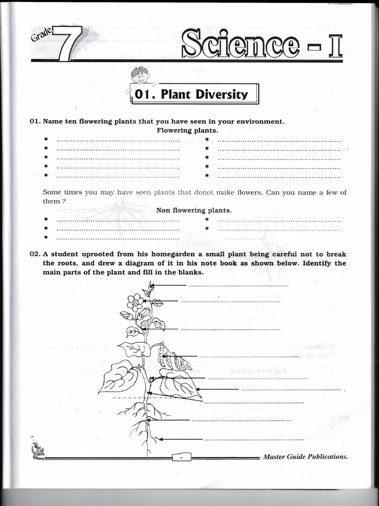 Grade 7 Worksheet 1 | PDF
