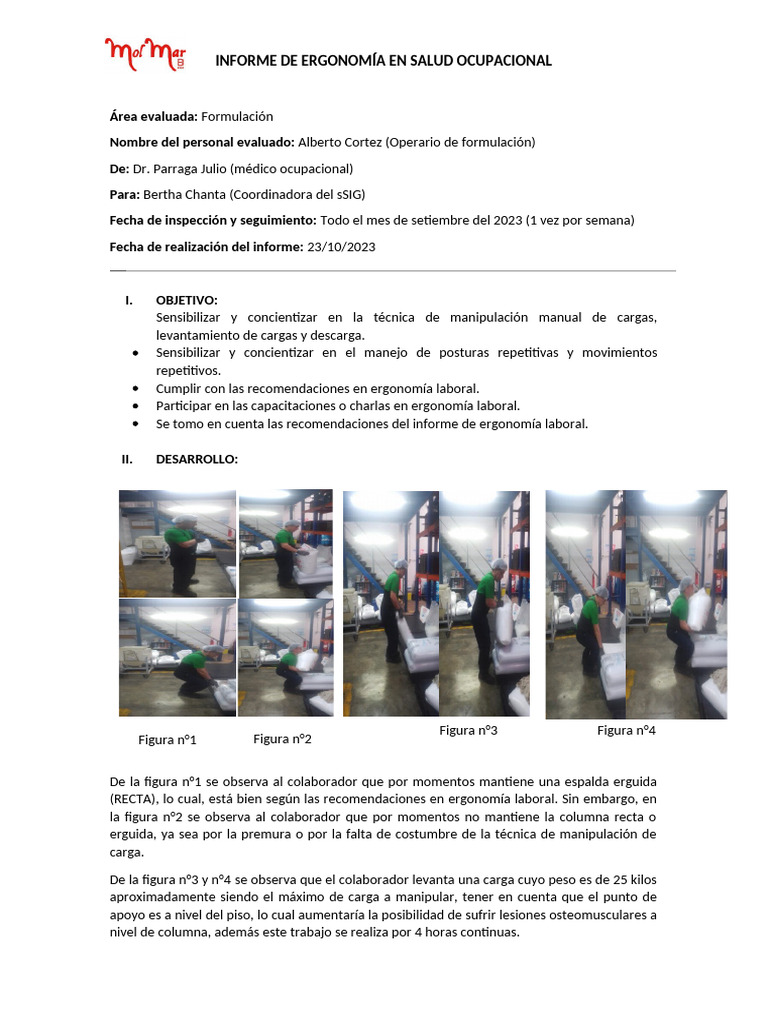 Informe Ergonómico - Formulación - Alberto Cortez - Monitoreo Oct.2023 | PDF