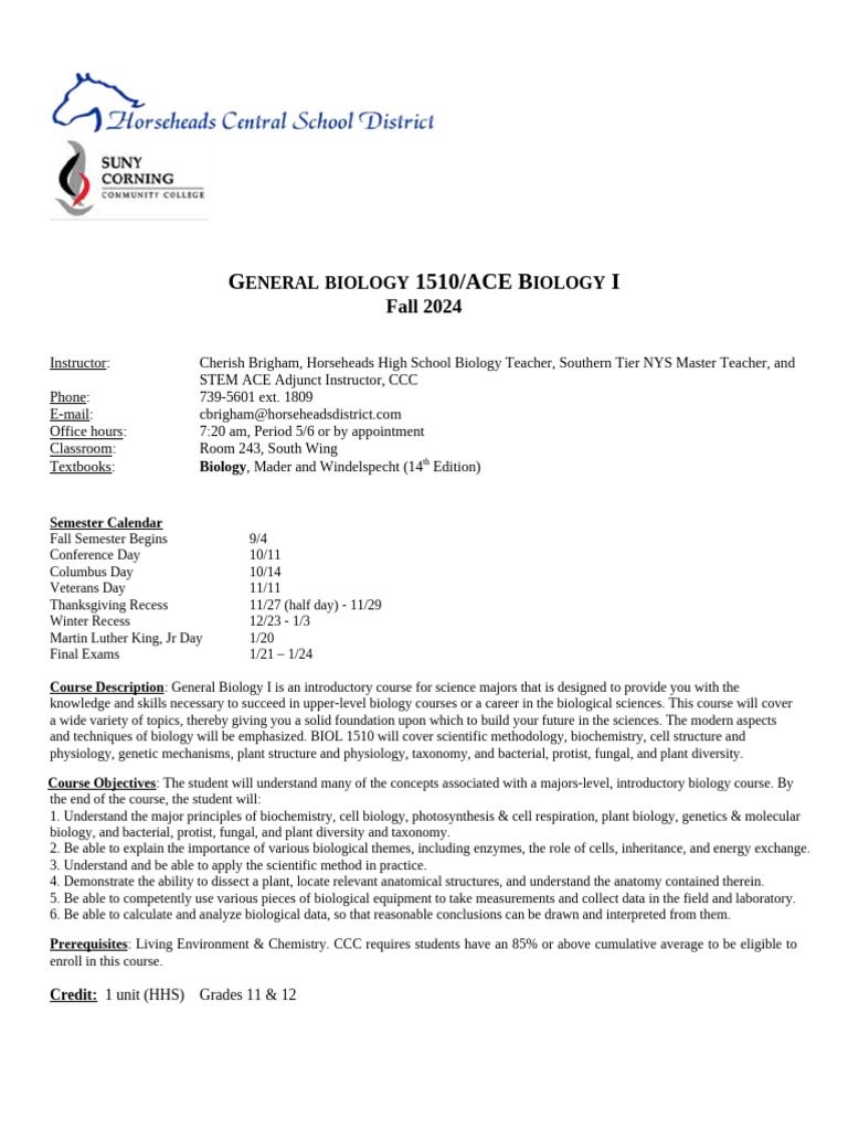 ACE Syllabus Aug 2024 | PDF