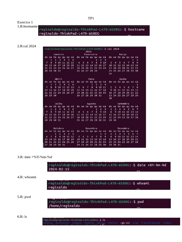 Linux Command Exercises and Outputs | PDF | Computers