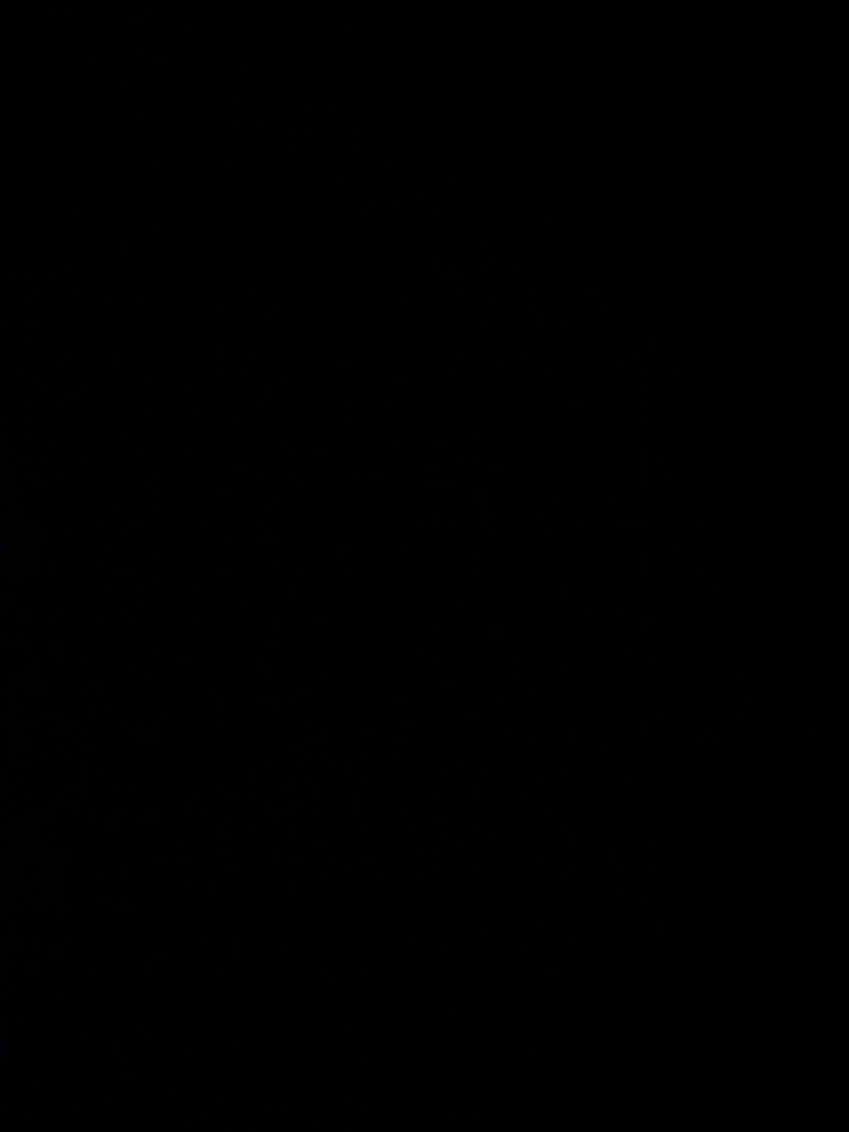 Digitalizado 20241015-1404 | PDF