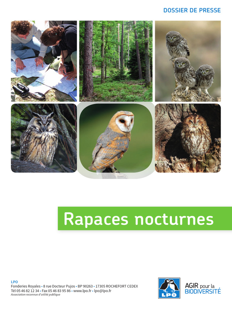DPEnquete Rapaces Nocturnes | PDF