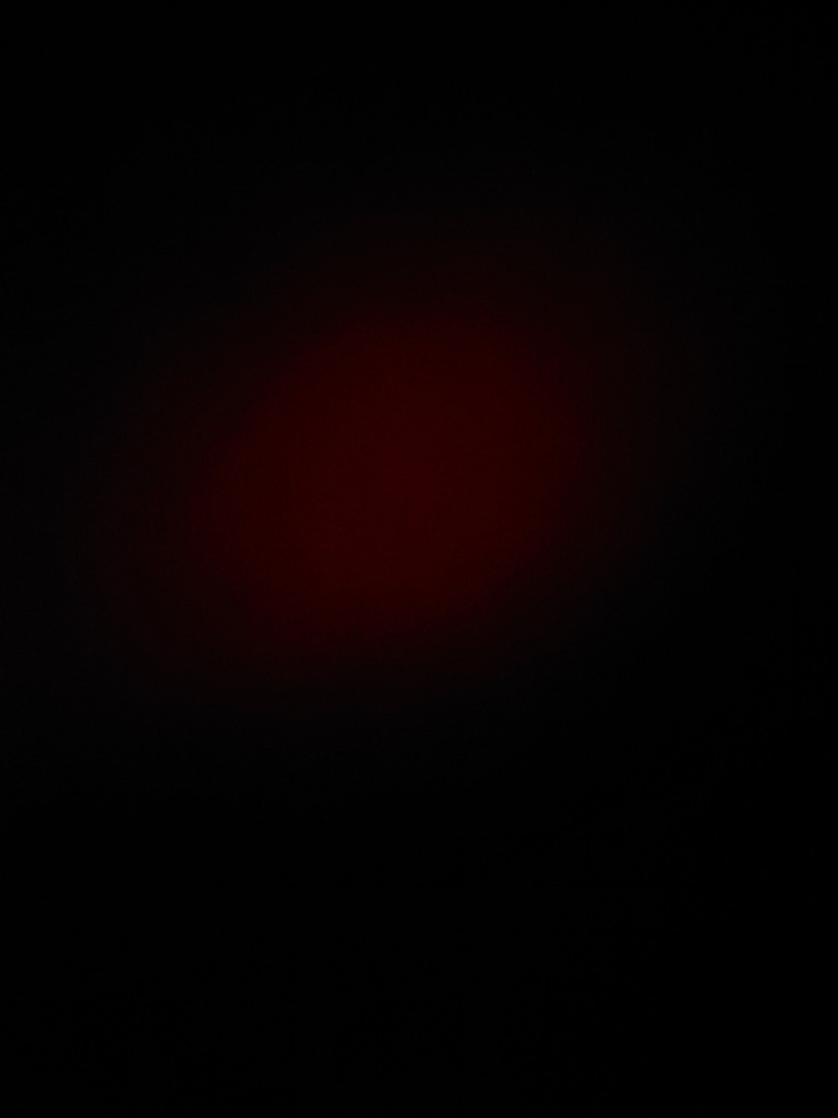 Digitalizado 20241015-1406 | PDF