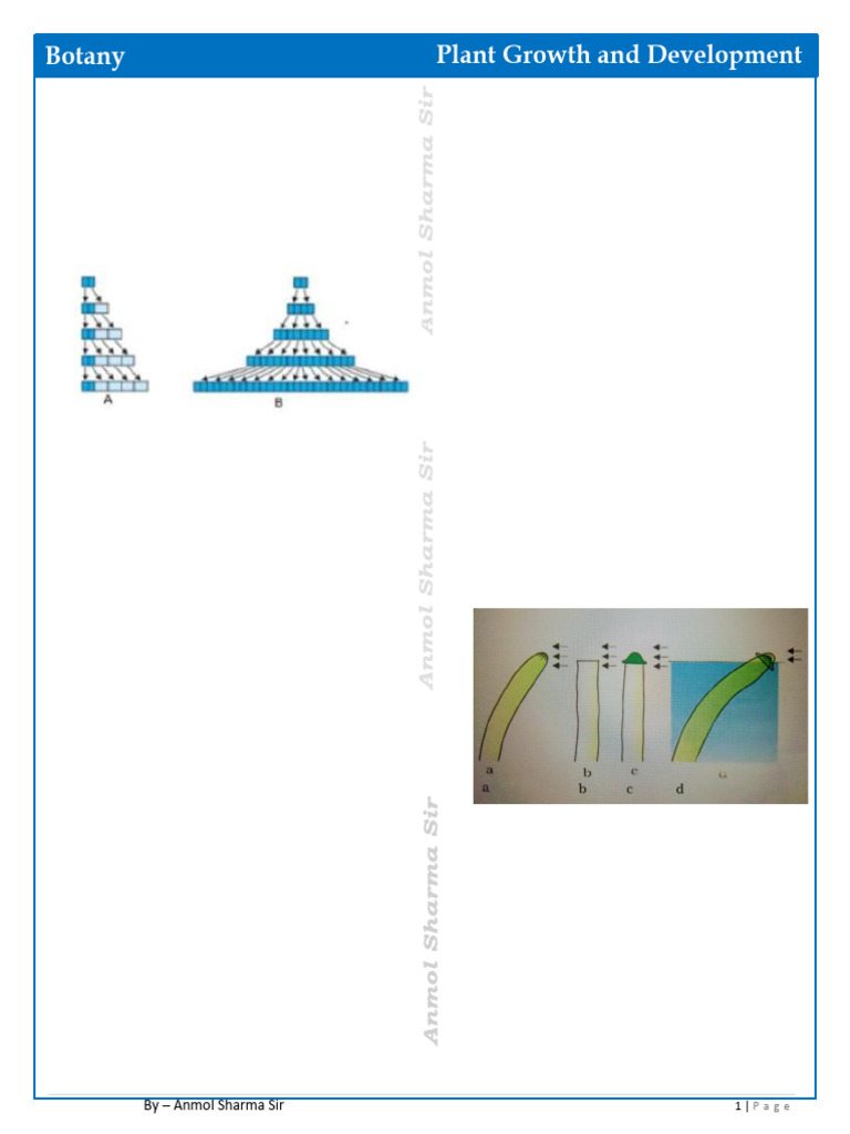 Plant Growth and Development-1 | PDF
