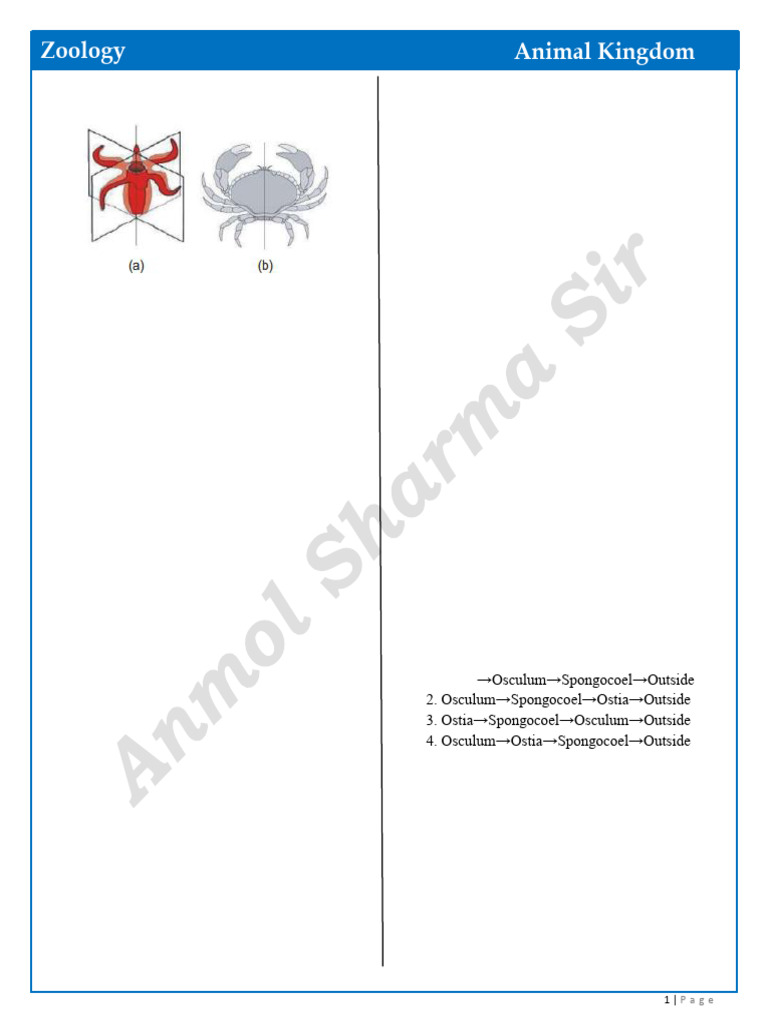 Animal Kingdom | PDF