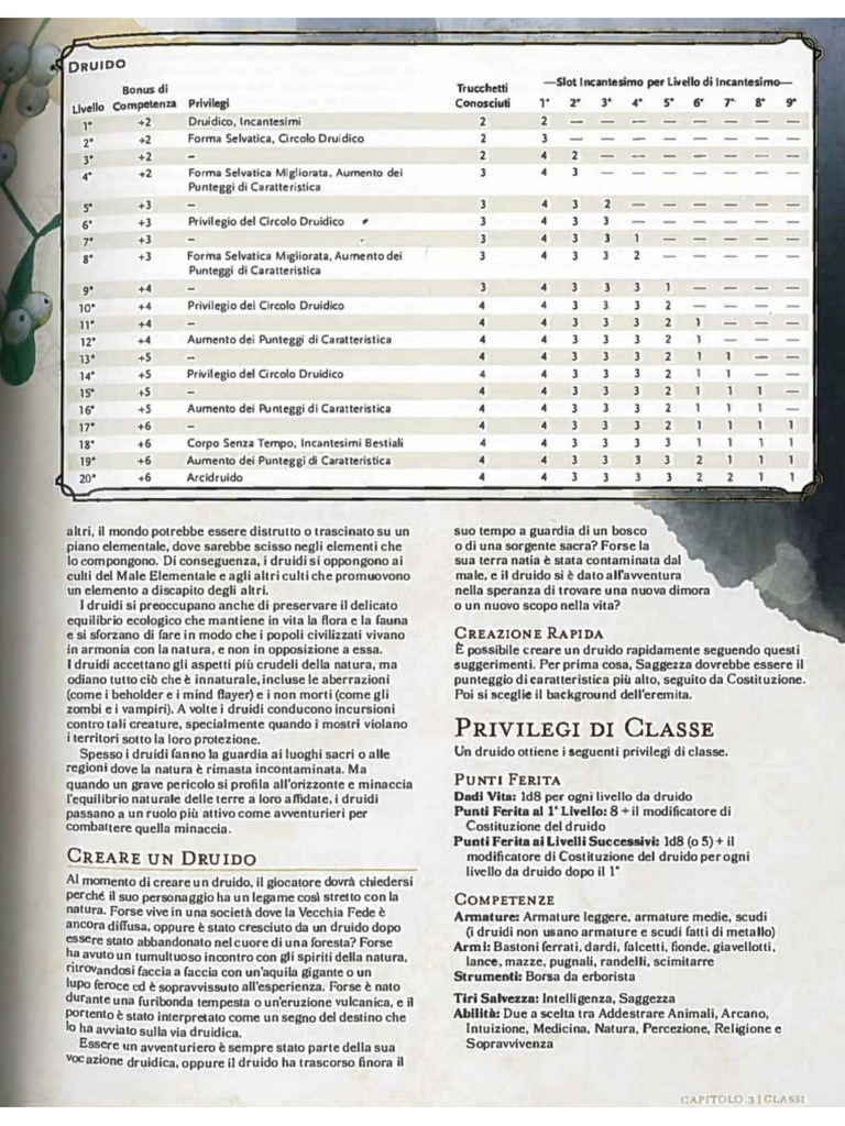 Druido | PDF