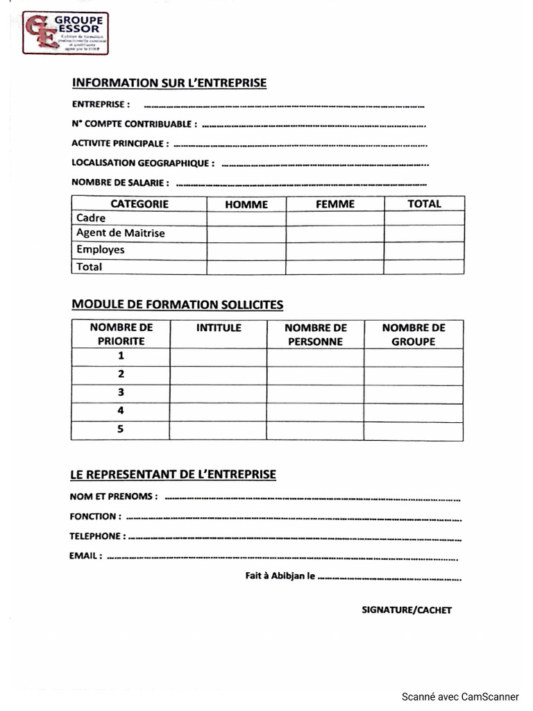 Fiche D'identification Entreprise 1 | PDF