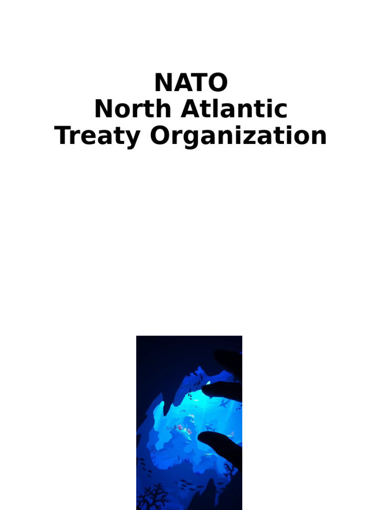 NATO Presentation English | PDF | Nato | Global Politics