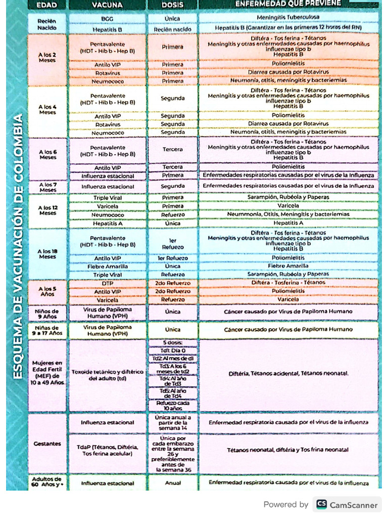 Esquema PAI 2024 | PDF