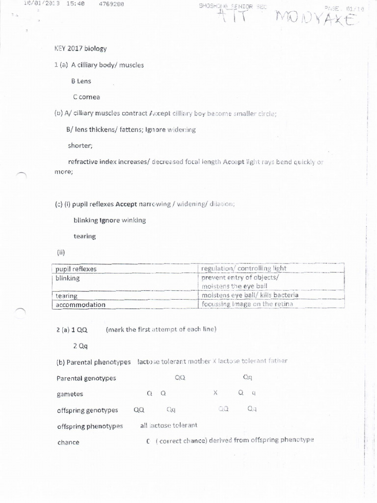 Marking Key 2017 p3 | PDF