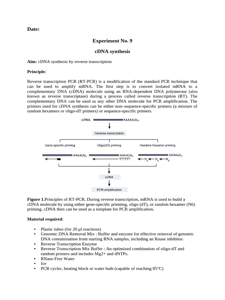 Experiment 9 - CDNA Synthesis | PDF