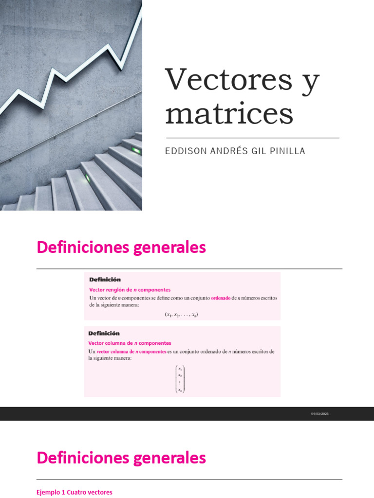 Vectores y Matrices | PDF