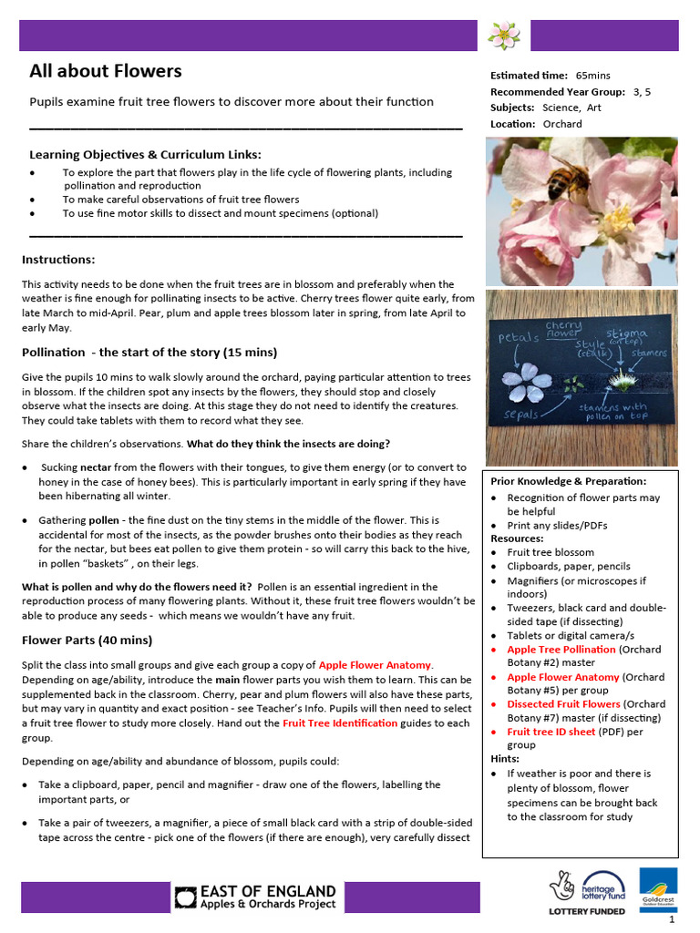 All-about-Flowers Nice | PDF | Flowers | Home & Garden