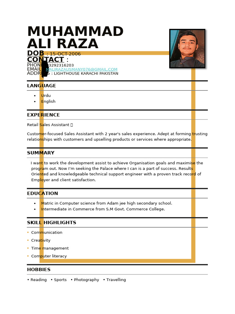 Muhammad Ali Raza CV | PDF