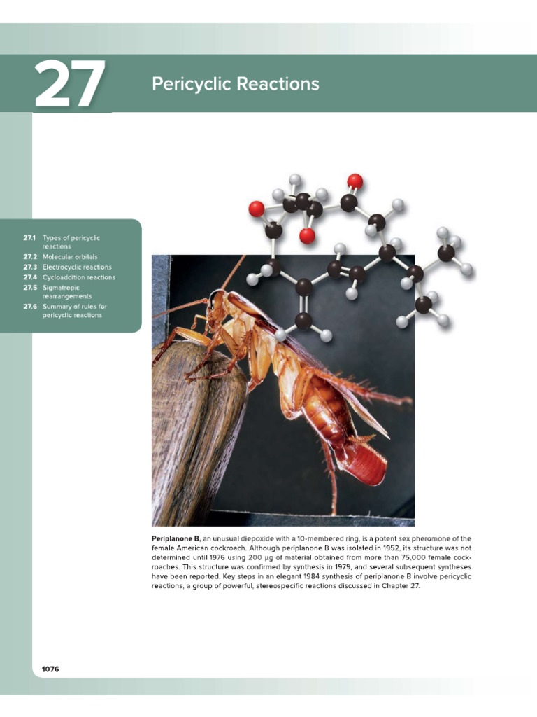 Pericylic Rx Smith | PDF