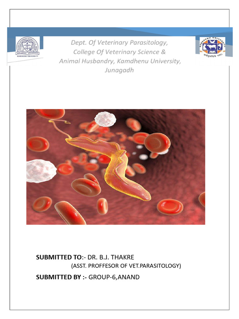 Parasitology Report Group-6 | PDF