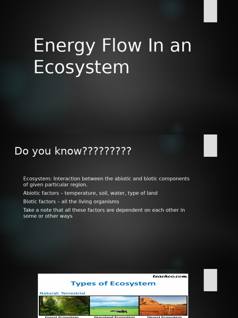 Energy Flow in An Ecosystem | PDF | Ecosystem | Science & Mathematics