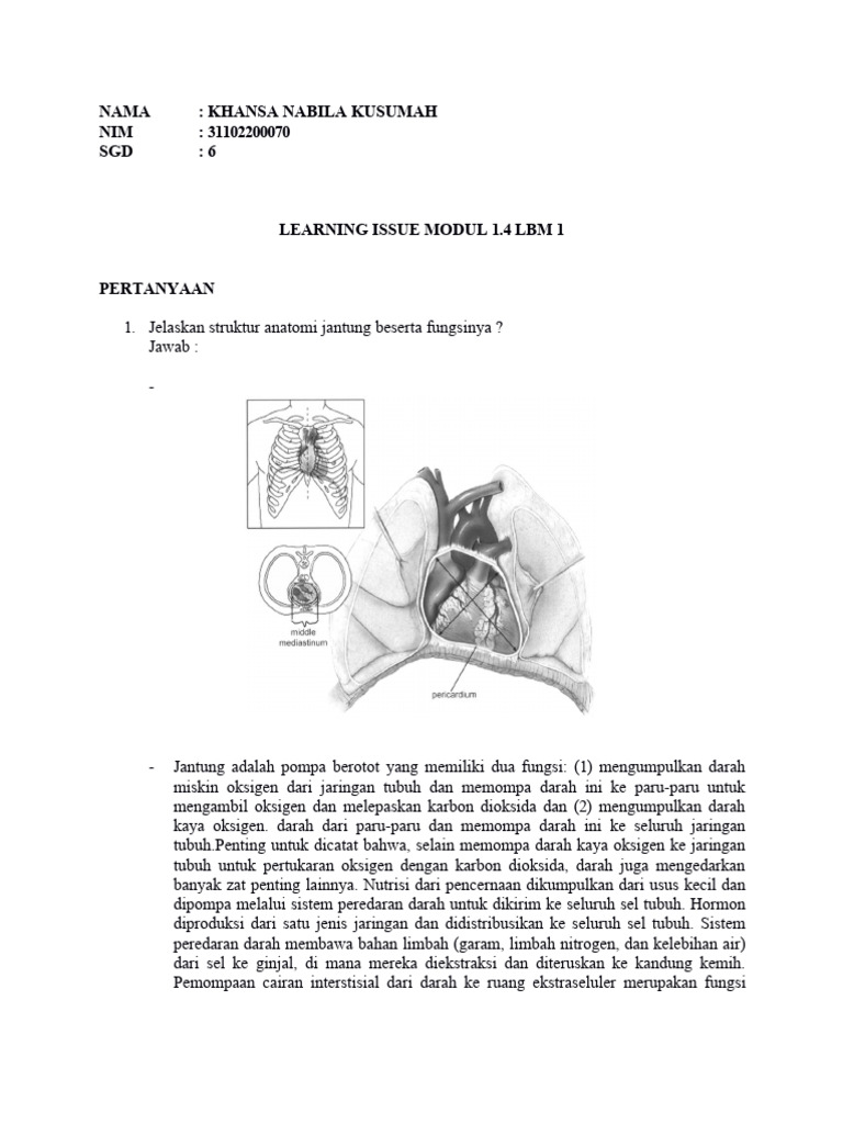 Learning Issue Modul 1.4 LBM 3 | PDF | Art