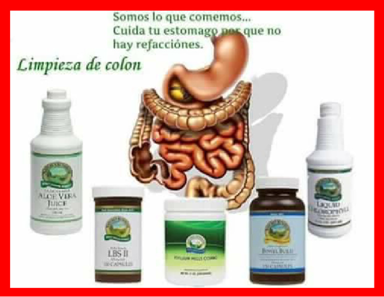 Limpiesa Declon | PDF