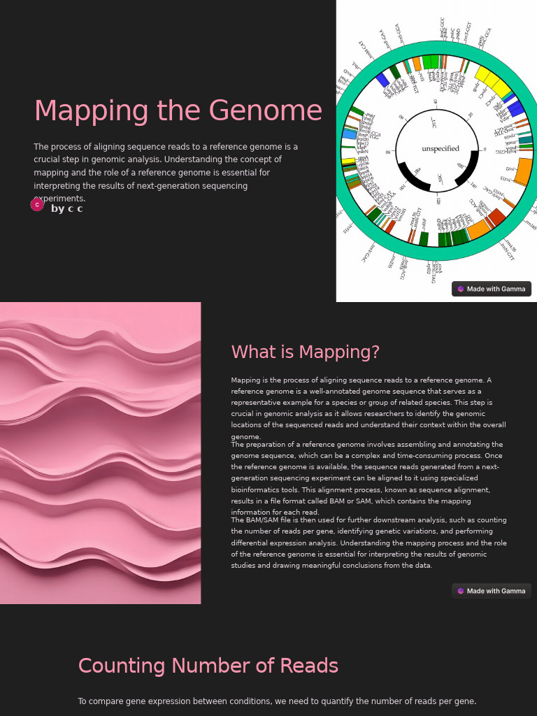 Mapping-the-Genome (1) | PDF
