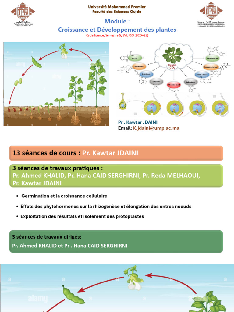 Croissance Et Developpement Des Plantes | PDF