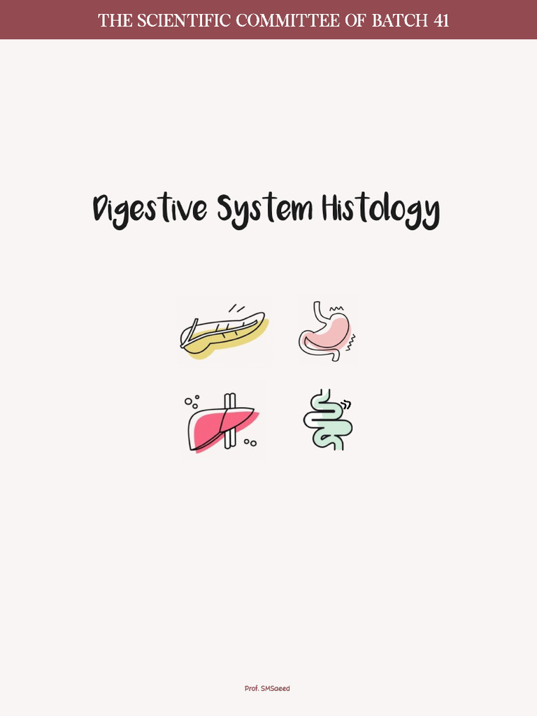 GIT Histology ? | PDF