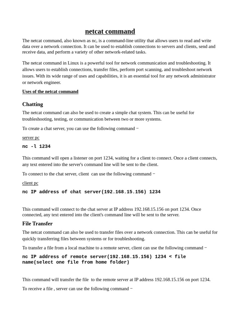 Netcat Exp | PDF