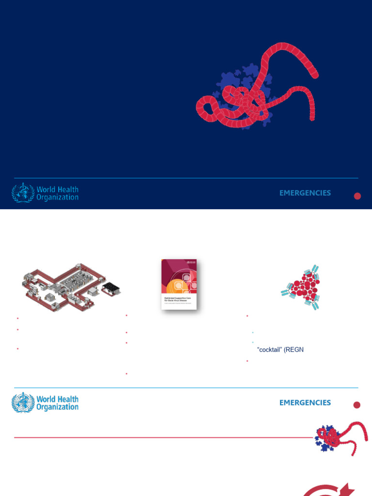 04 - Care Pathway | PDF