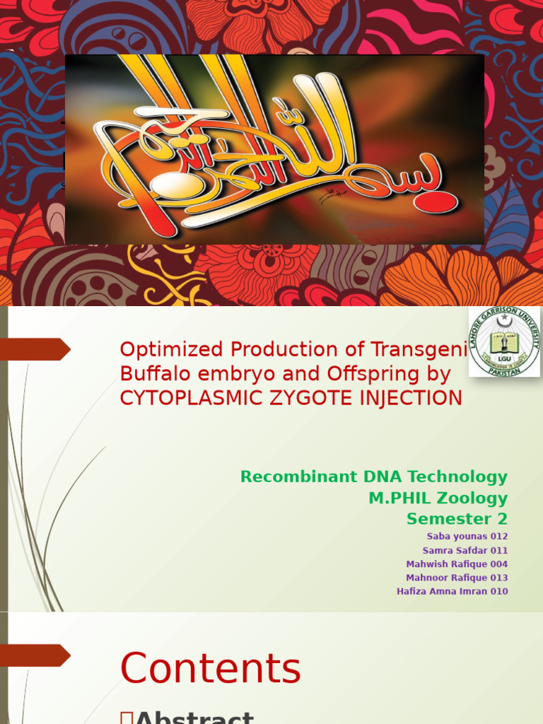 Transgenic Buffalo | PDF