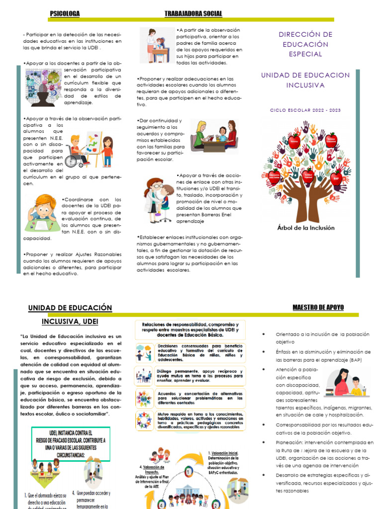 Triptico Funciones Udei | PDF