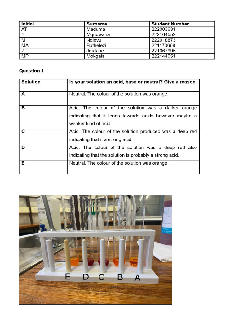 SATINA Practical task 1 | PDF