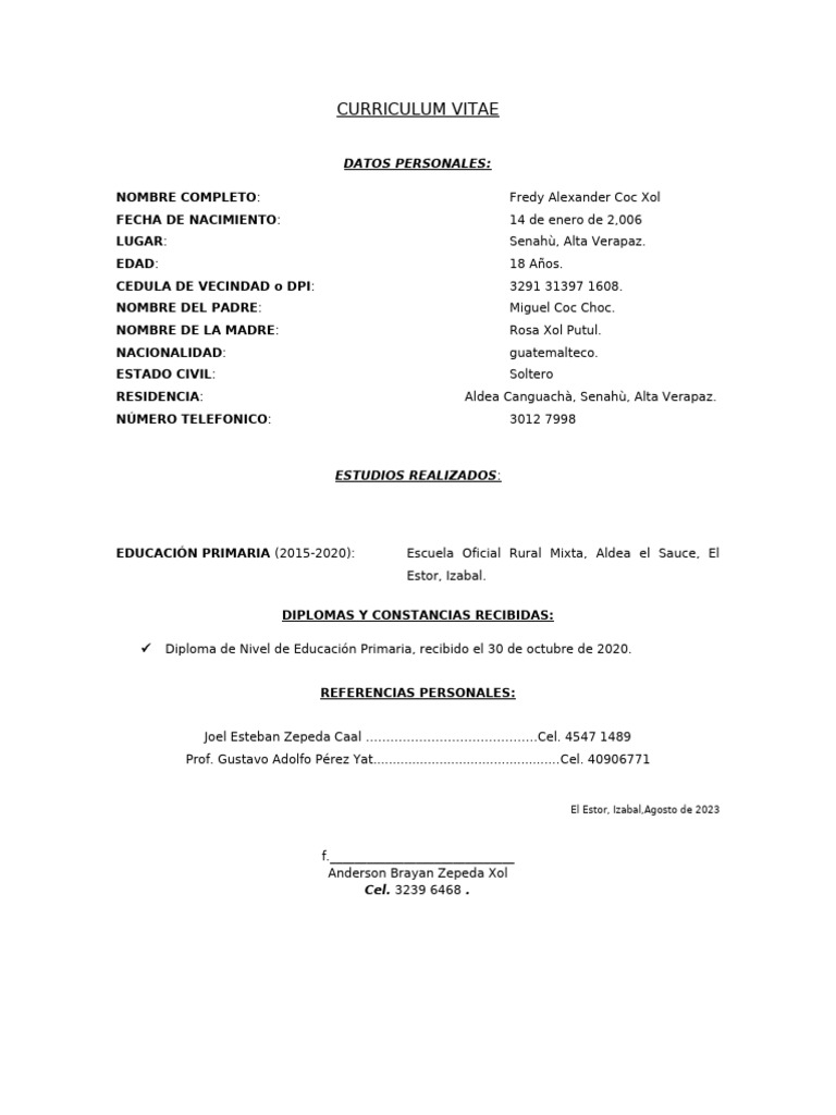 CURRICULUM VITAE FREDY COC XOL | PDF