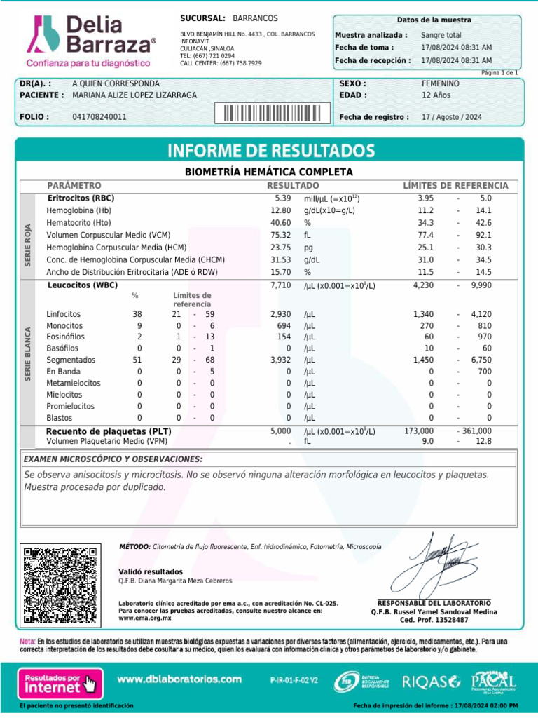Mariana Alize Lopez Lizarraga | PDF