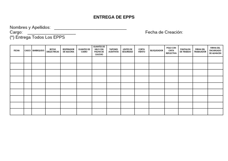 Registro de Entrega de EPPs | PDF